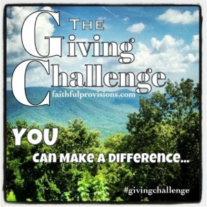 The Giving Challenge | 147 Million Orphans - Faithful Provisions